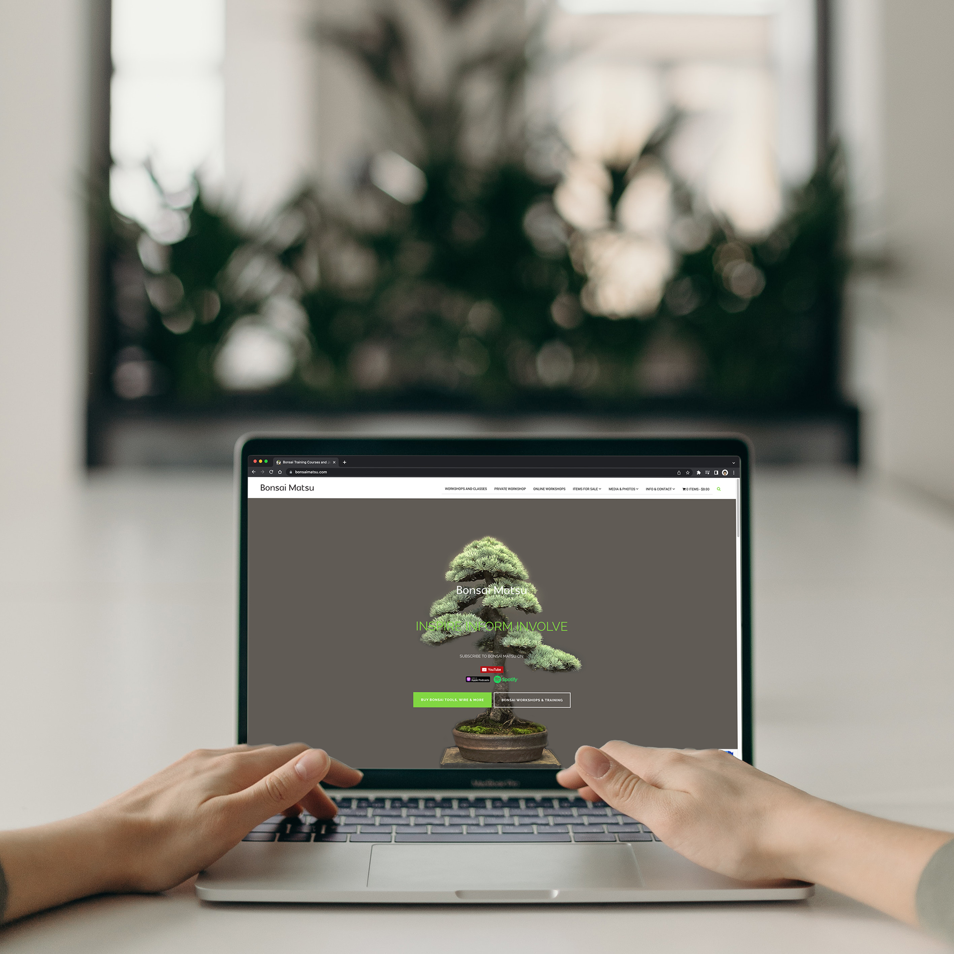 Portfolio - ANTM Creative